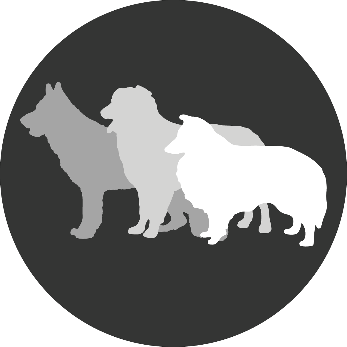 Ovčácká, pastevecká a honácká plemena